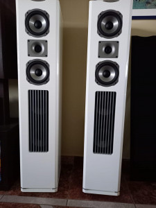 Used Quadral Platinum M50 Bookshelf speakers for Sale | HifiShark.com